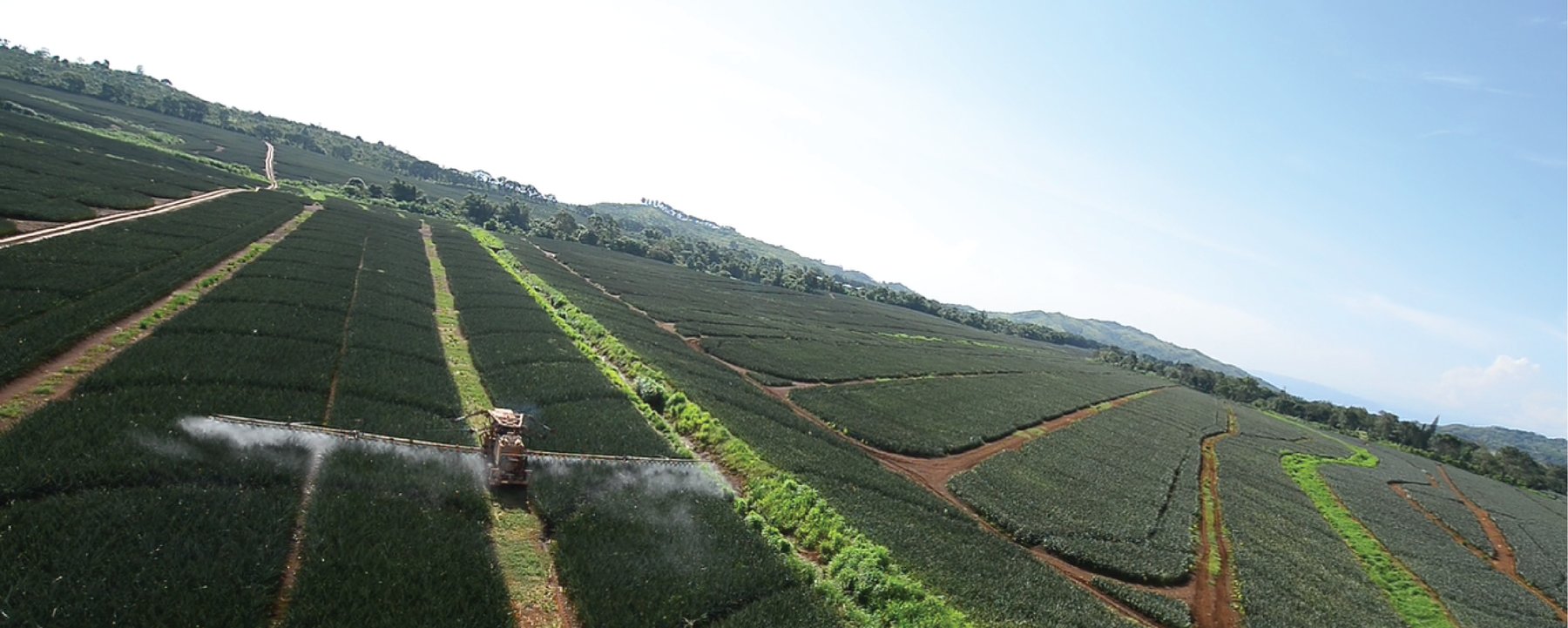 Del Monte Philippines - Sustainability - Our Journey